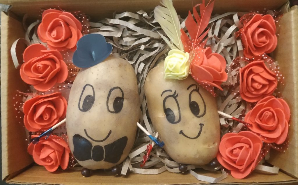 The Viral Potato - The Story Of How A Potato Went Viral | Startup Stories