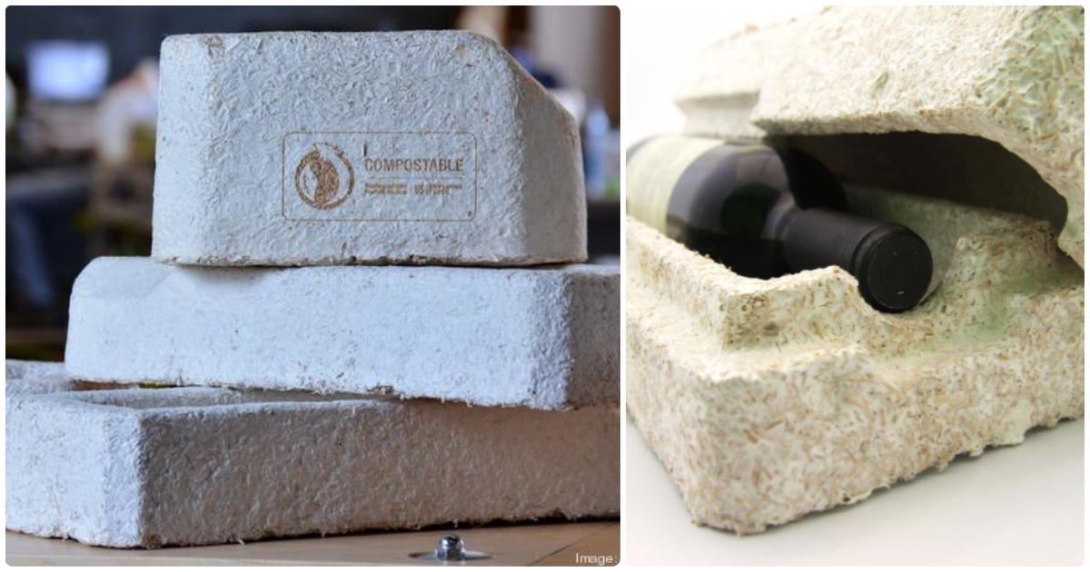 Ecovative Design – A Startup Providing Sustainable Alternatives To Plastic